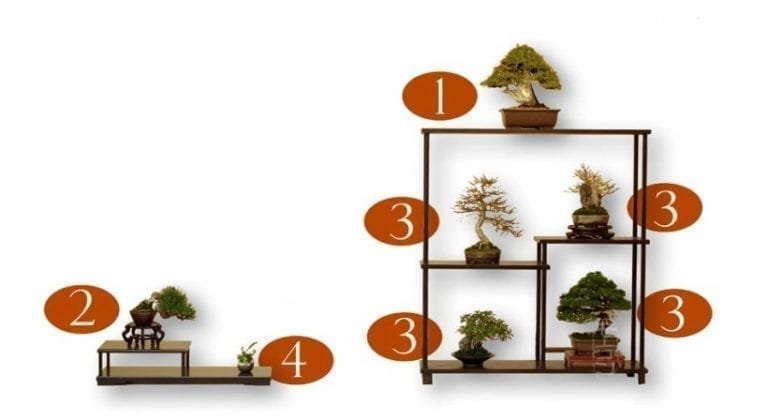 How to Use a Stand to Display Your Shohin Bonsai - Bonsai Tree Gardener