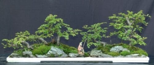 Bonsai Saikei: What You Need to Know - Bonsai Tree Gardener